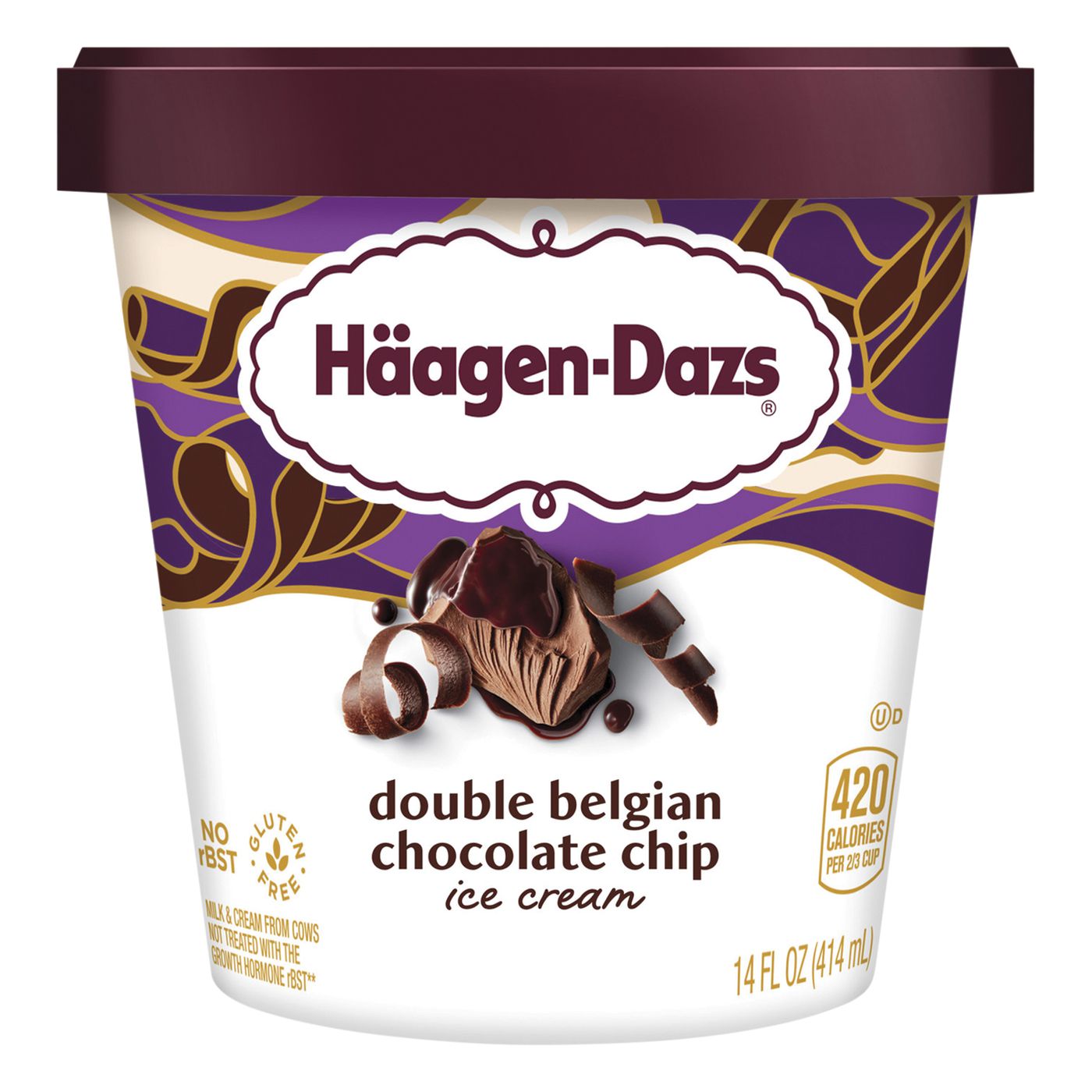 Haagen Dazs Ice Cream Belgian Chocolate Main