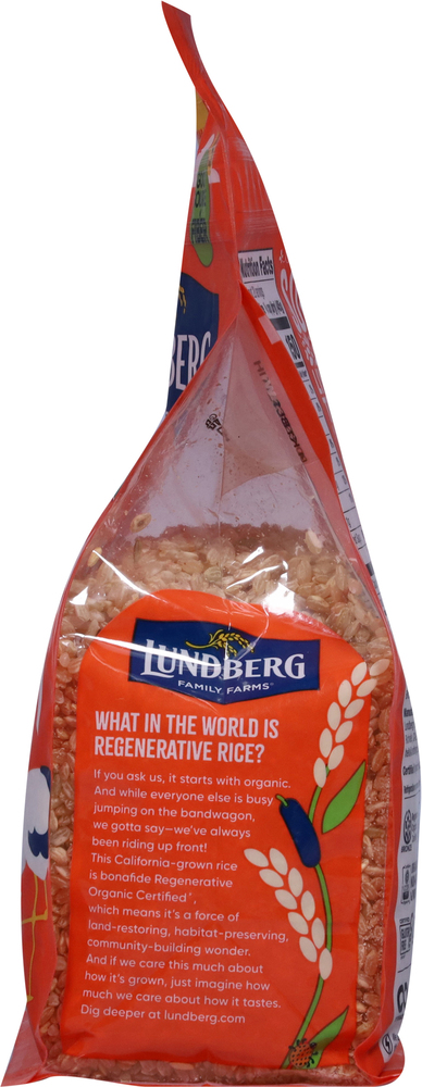 Lundberg Family Farms Rice, Gourmet, Organic, Brown, Short Grain ...