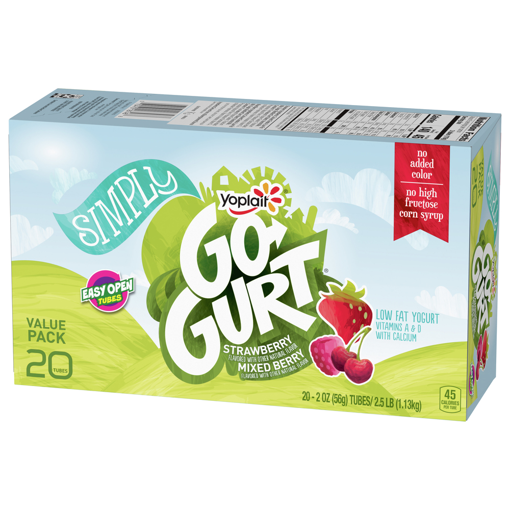 fizzix go gurt