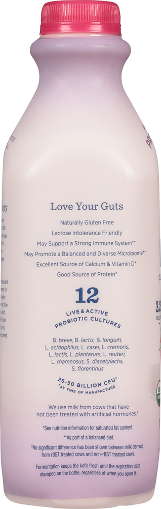 Lifeway Kefir, Organic, Mixed Berry-Planogram-Left