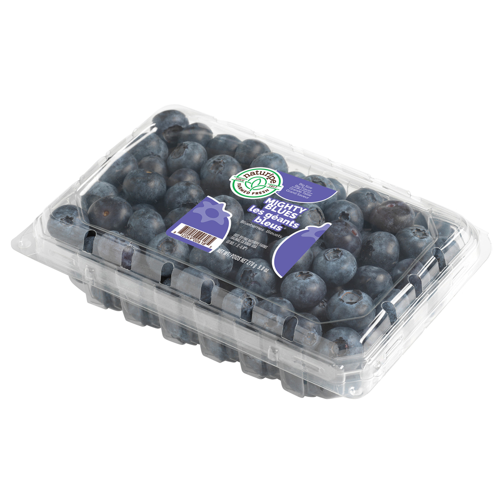 Jumbo Blueberries-Front-Right-Elevated