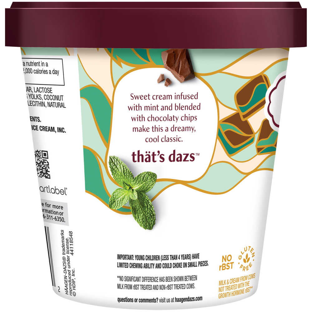 Haagen Dazs Mint Chip Ice Cream
