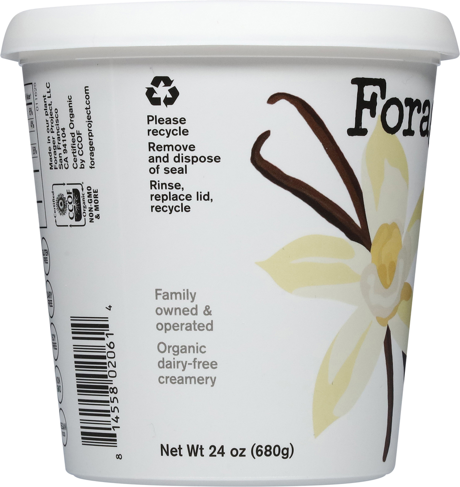 Forager Project Cashew & Coconut Yogurt Alternative, Vanilla Bean ...