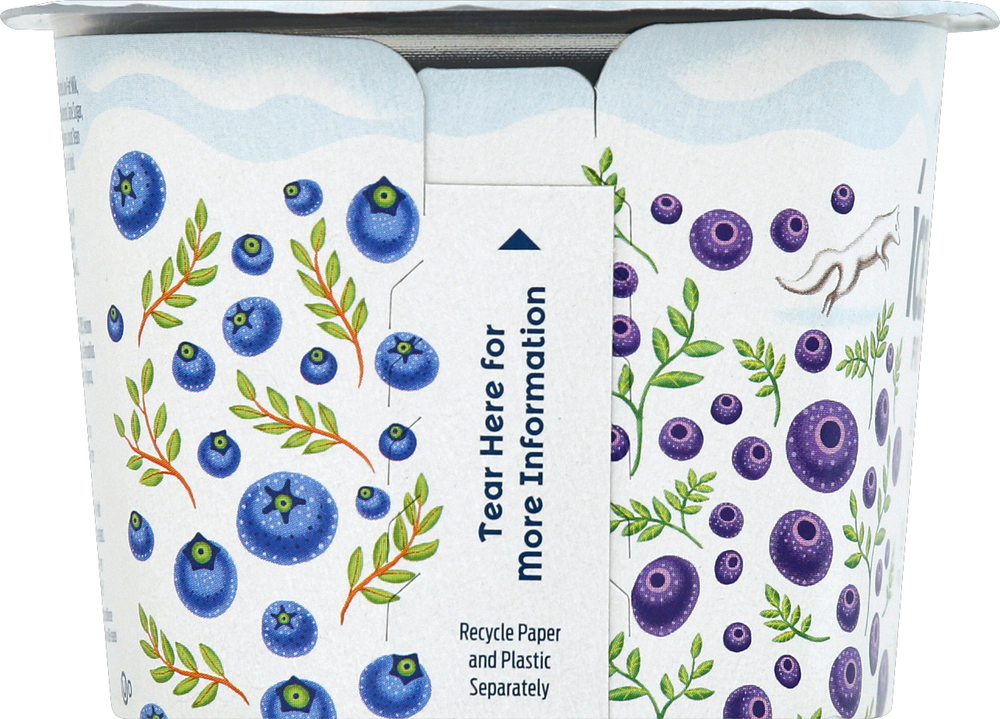Icelandic Provisions Skyr, Low Fat, Wild Blueberry & Bilberry, Thick ...