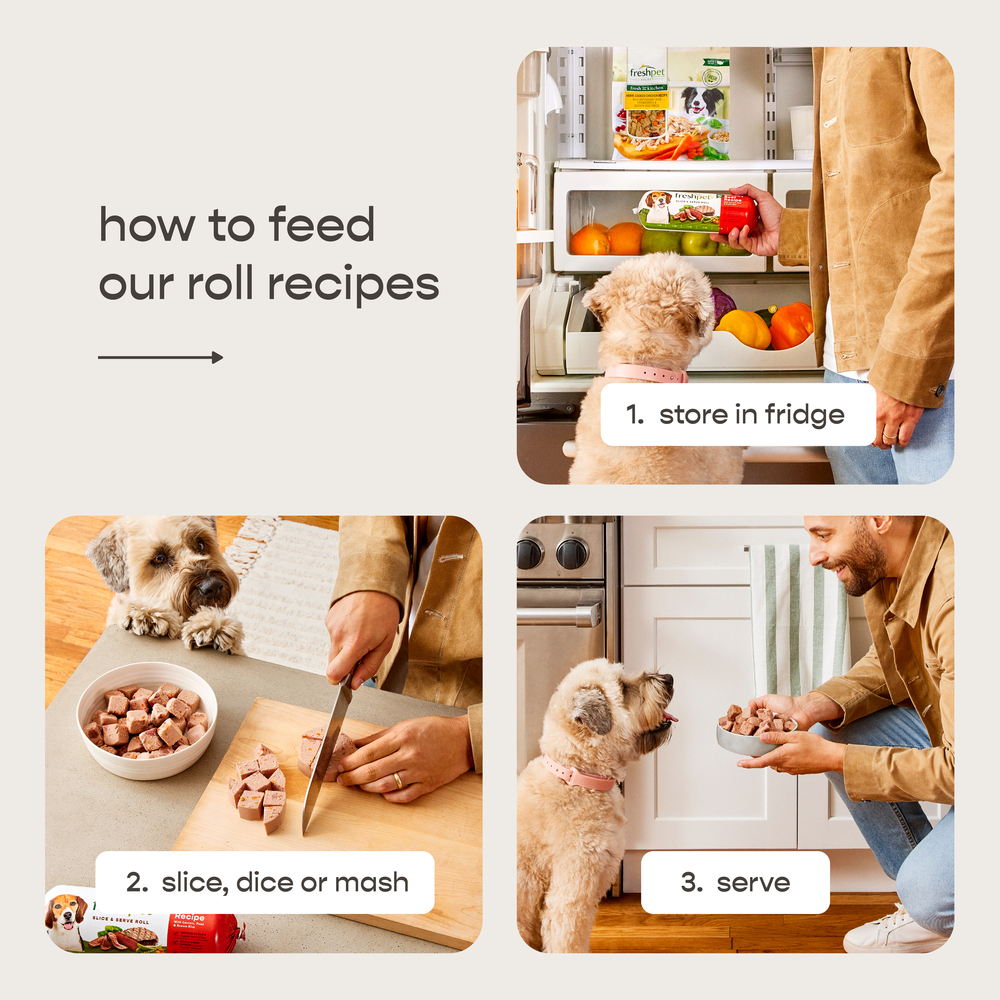 Freshpet Healthy & Natural Dog Food, Fresh Beef Roll-Planogram-Back