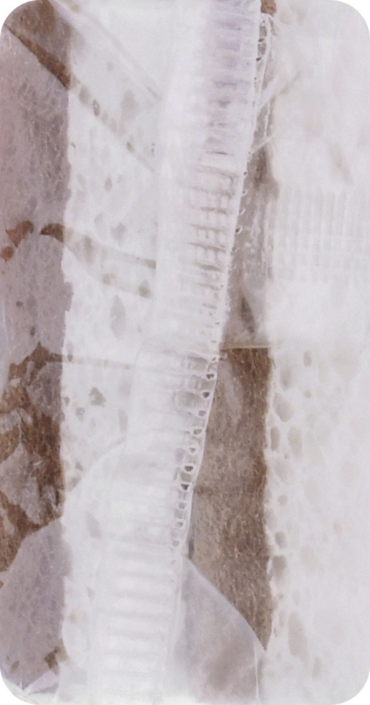 Full Circle In a Nutshell Scrubber Sponge, Walnut-Planogram-Right