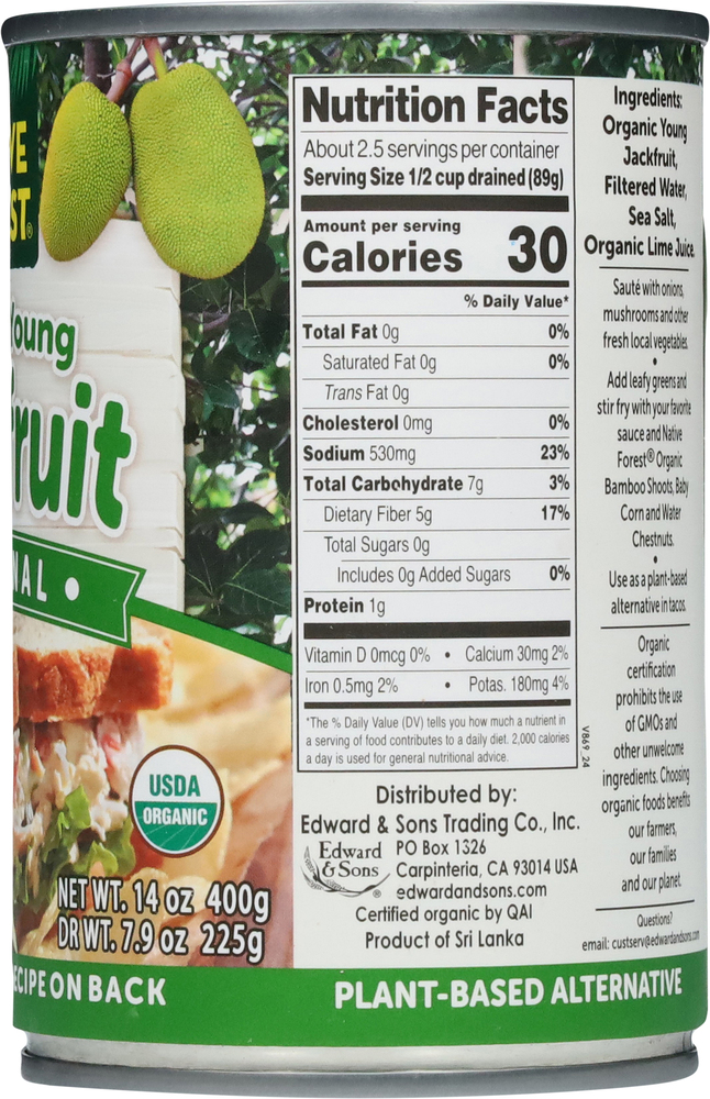 jackfruit serving size