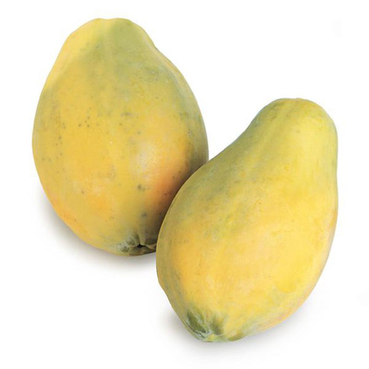 Papaya-Main