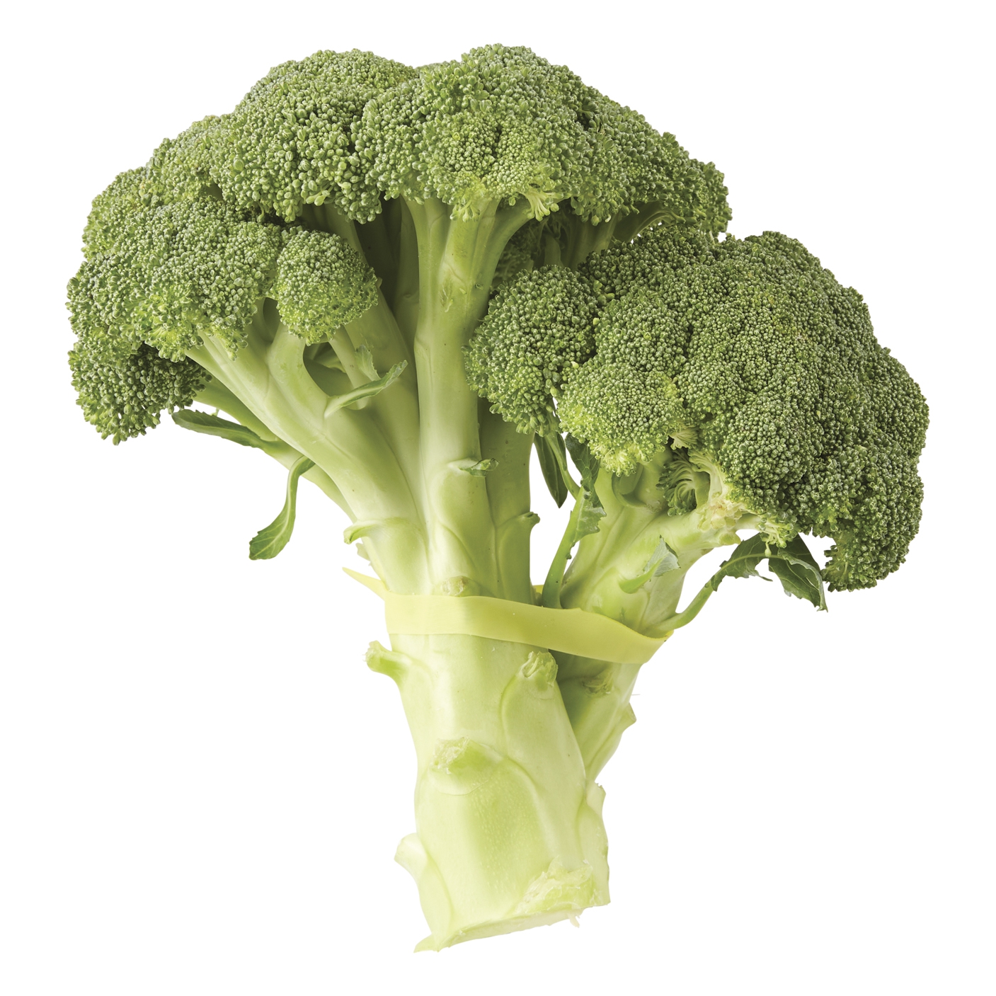 Organic Broccoli Bunch-Main