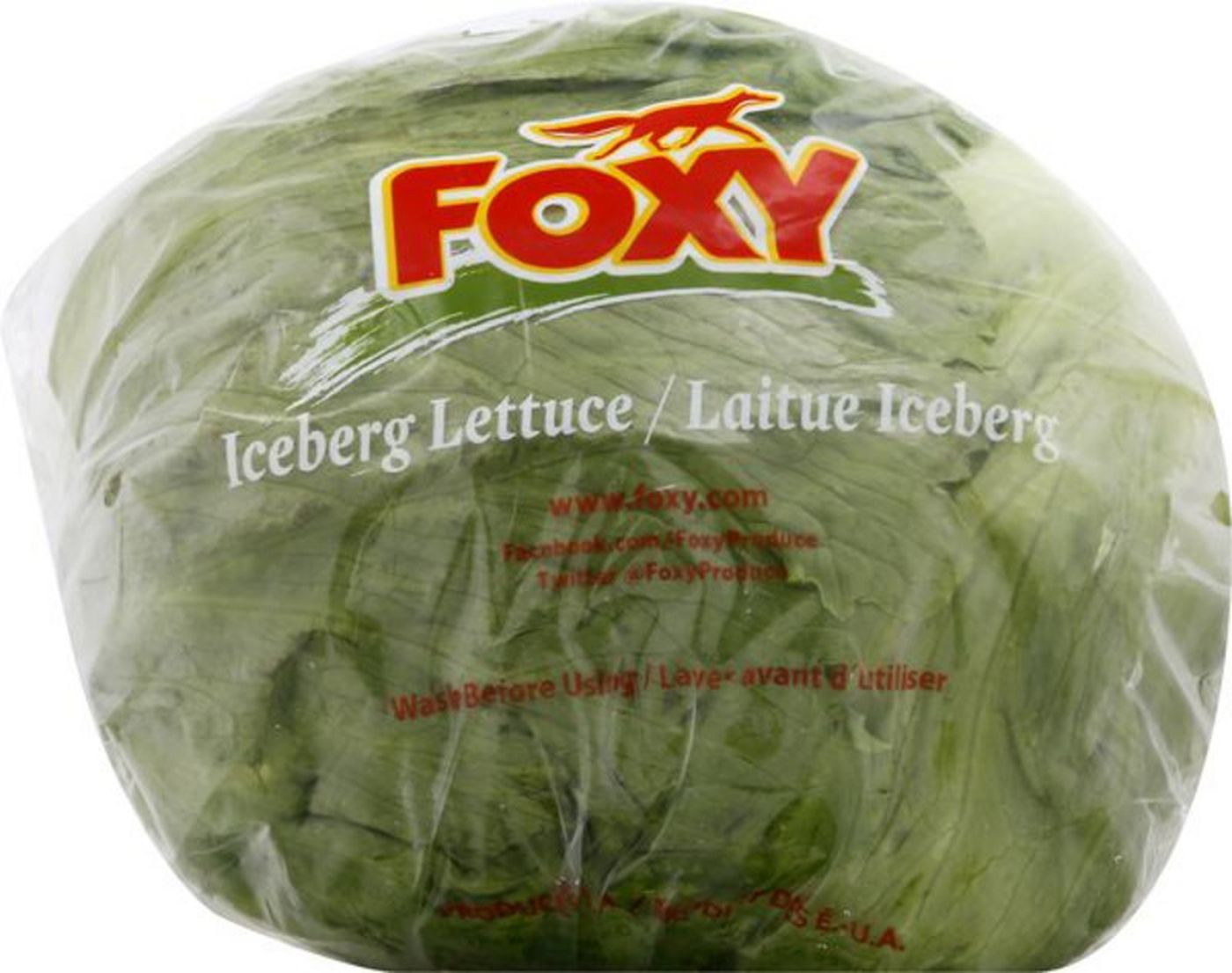 Iceberg Lettuce-Main
