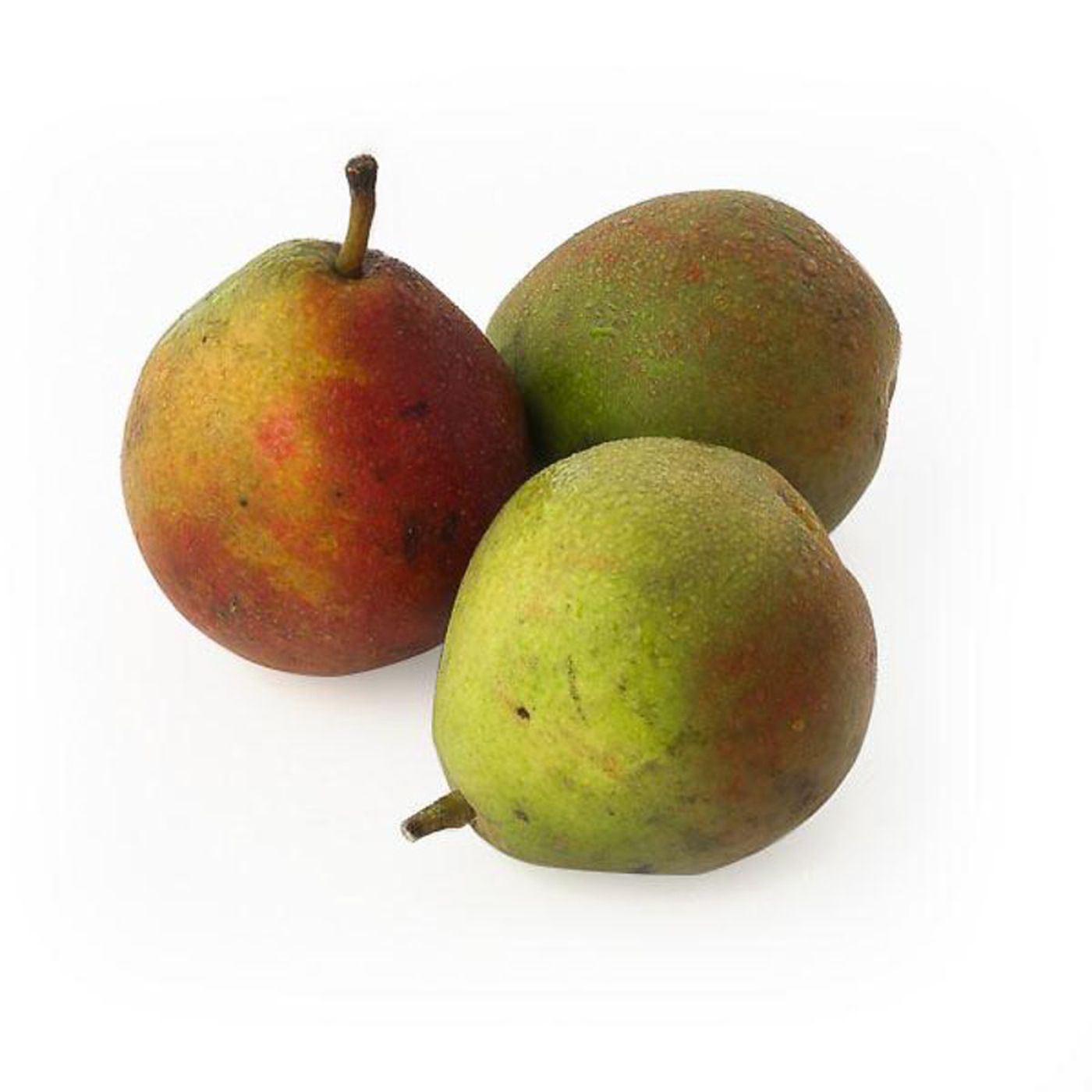 seckel pears