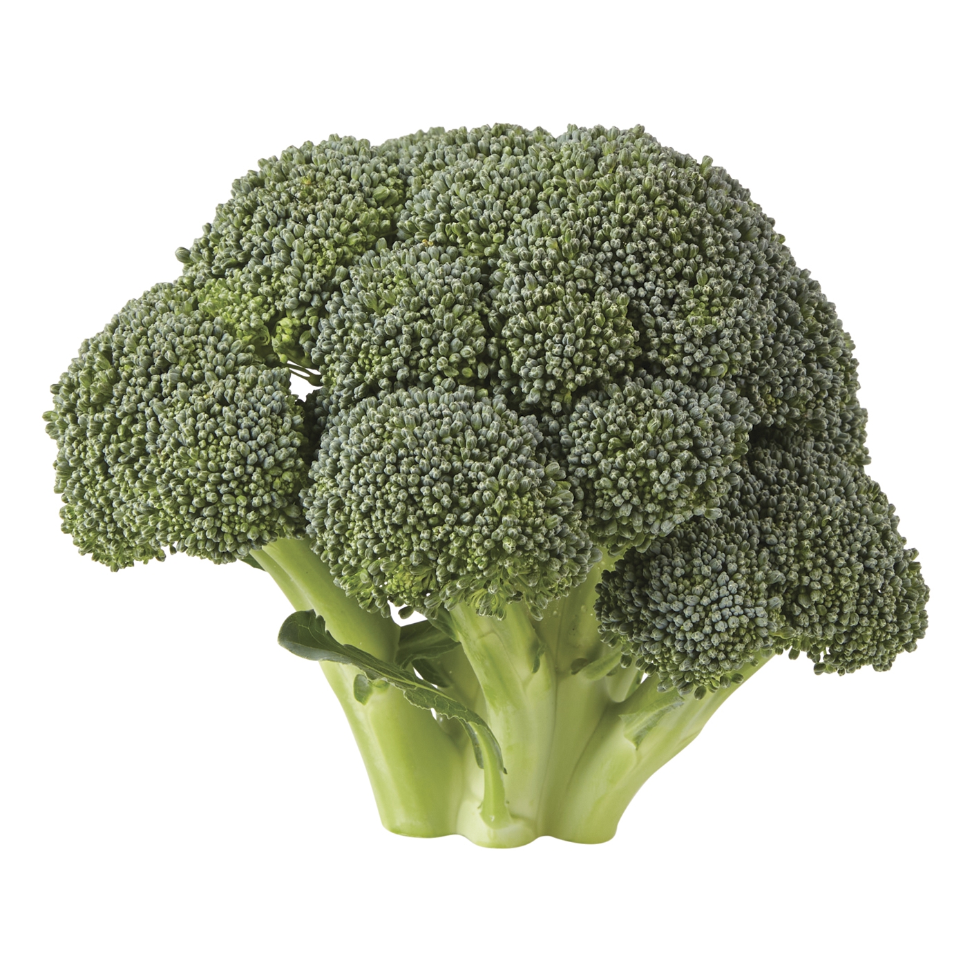 Broccoli Crowns, each-Main