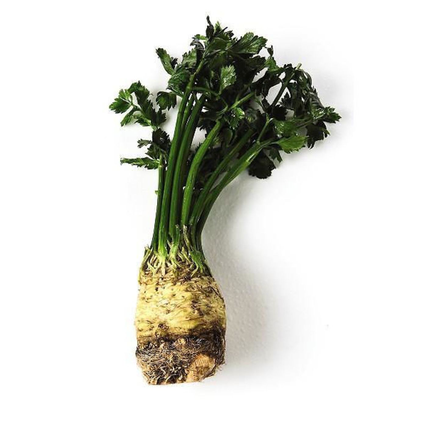 Celery Root