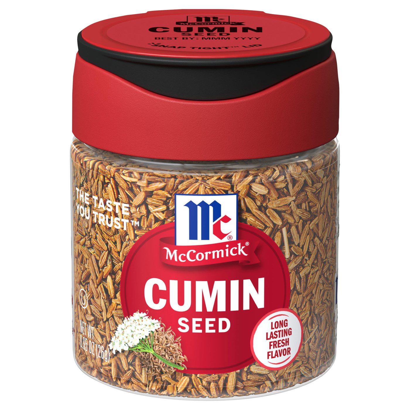 cumin spice