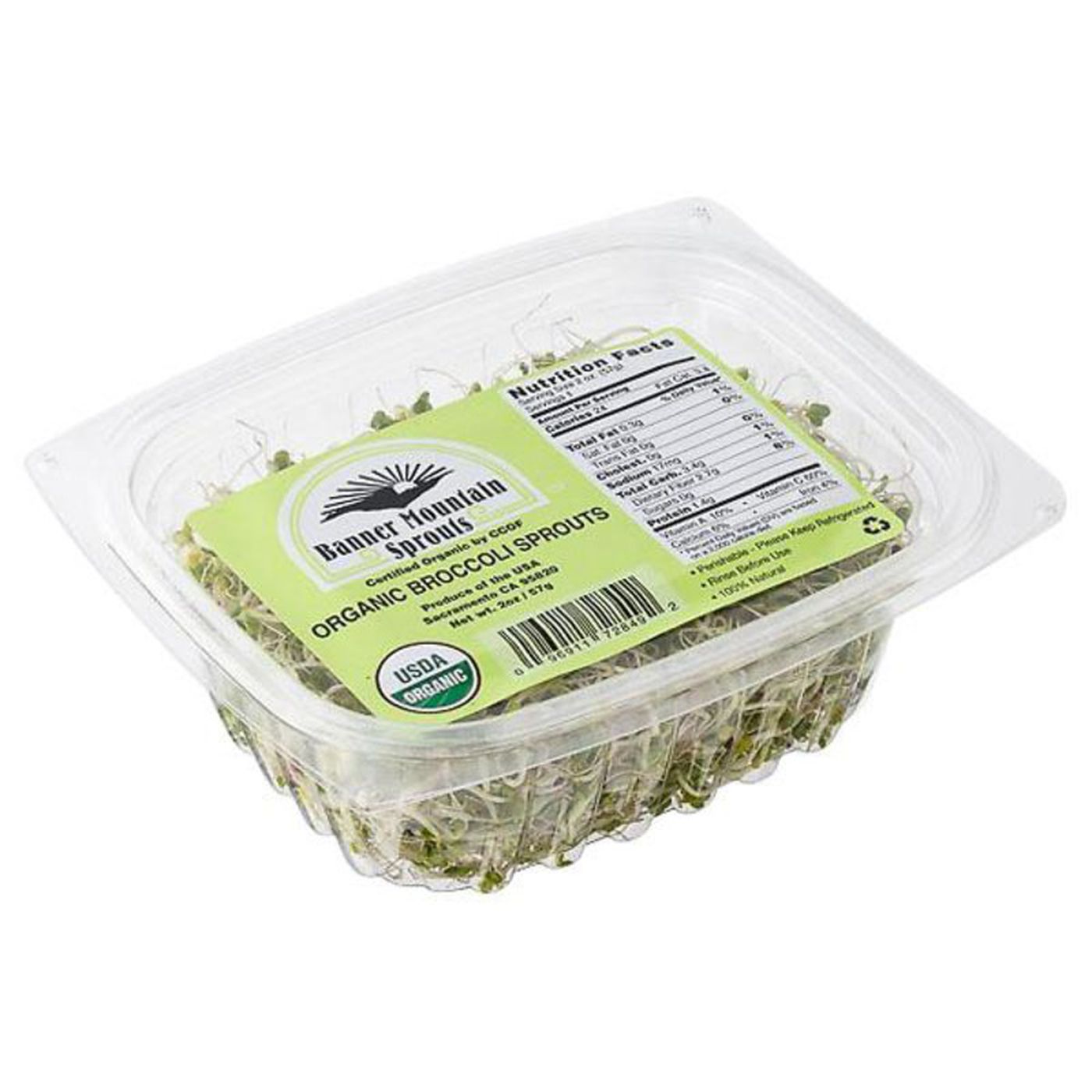 Organic Broccoli Sprouts-Main