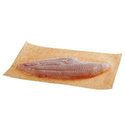 Catfish Fillet Fresh Farm Raised