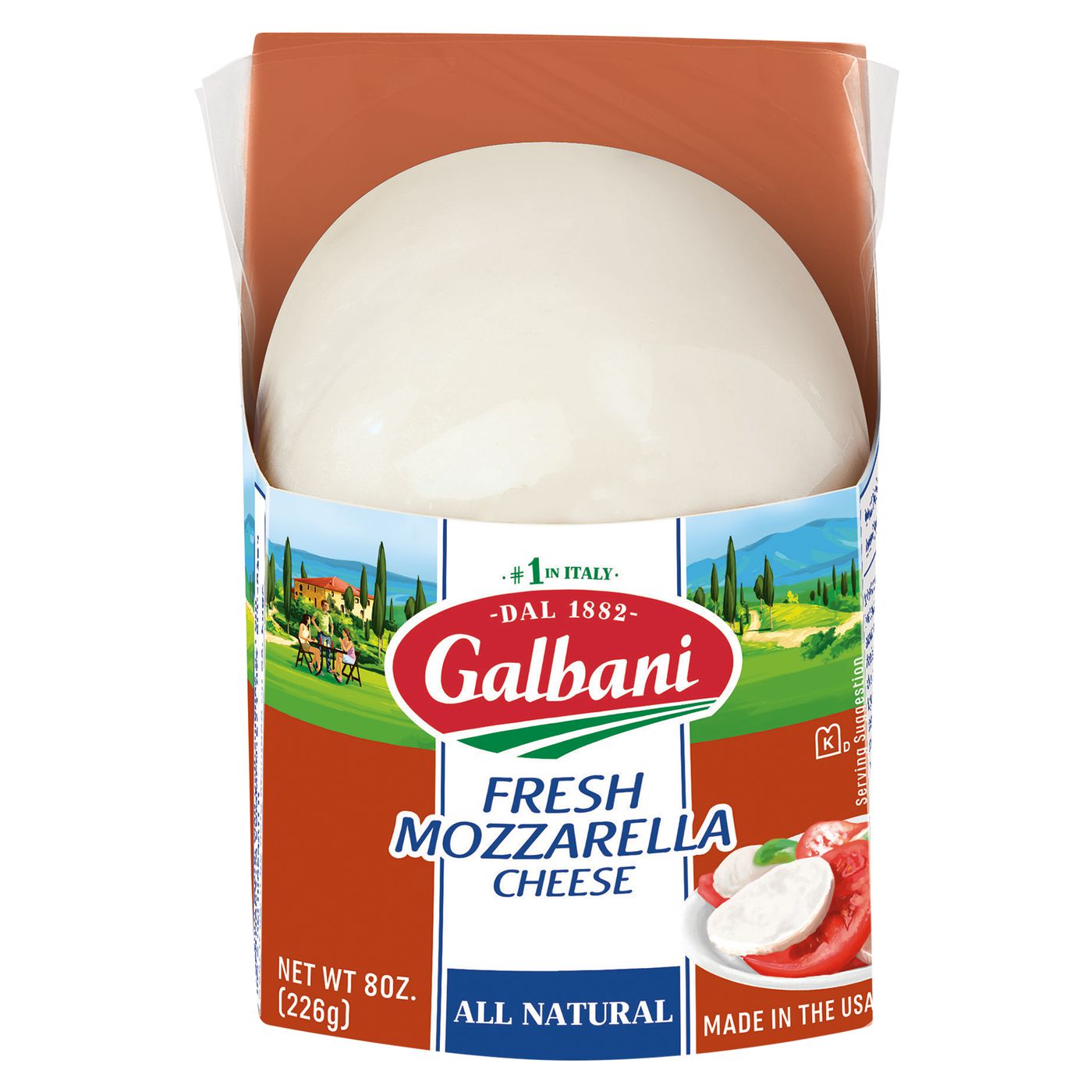 Galbani Cheese, Fresh Mozzarella-Main