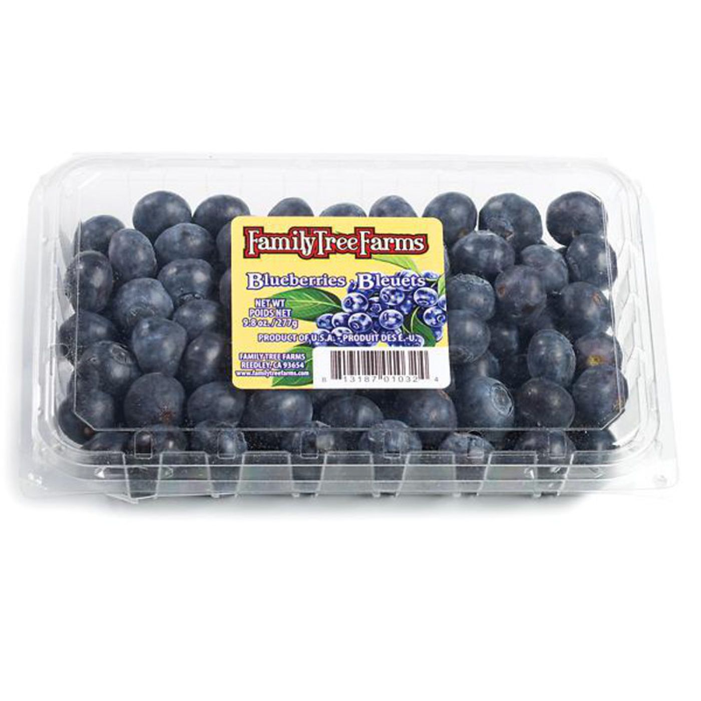 Blueberries-Main