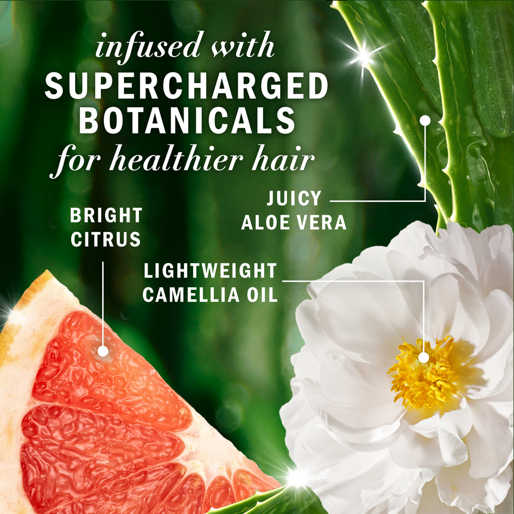 Herbal Essences PurePlants Grapefruit Conditioner-Ingredients