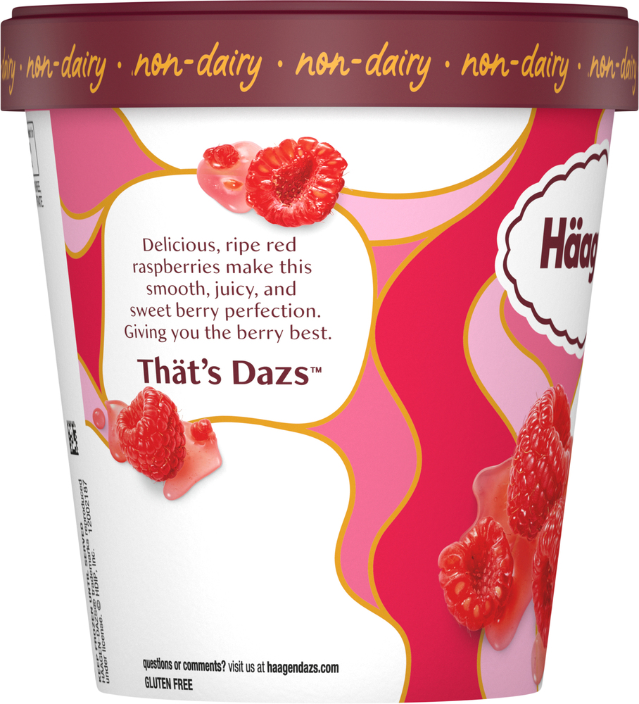 Haagen-Dazs Sorbet, Raspberry-Planogram-Left
