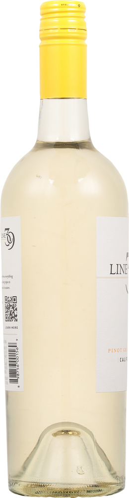 Line 39 Pinot Grigio, California-Planogram-Left