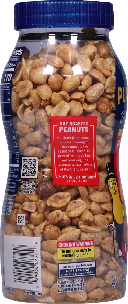 planters peanuts salted