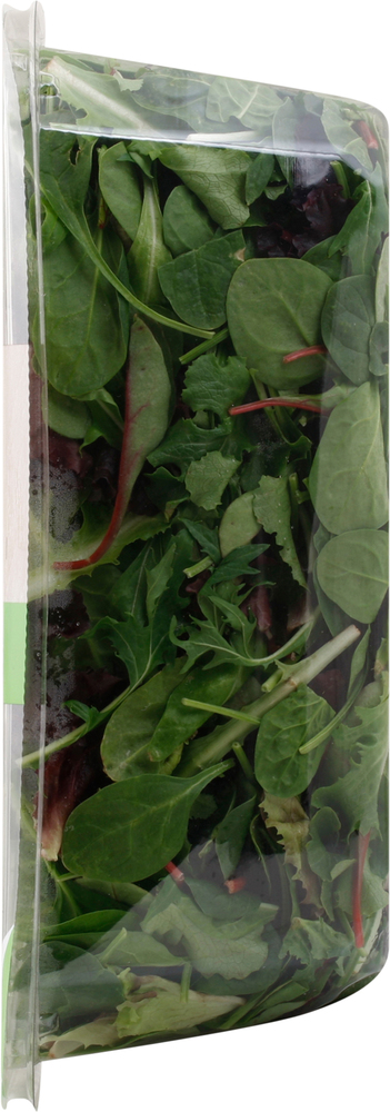 Raley's Spring Mix, Organic, Triple Washed-Planogram-Right