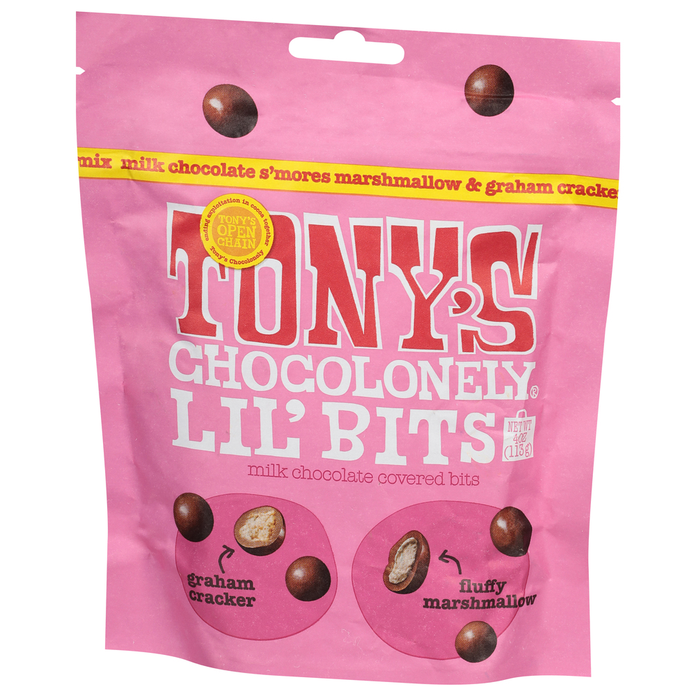 Tony's Chocolonely Lil' Bits, Milk Chocolate Smore's-Front-Right-Elevated