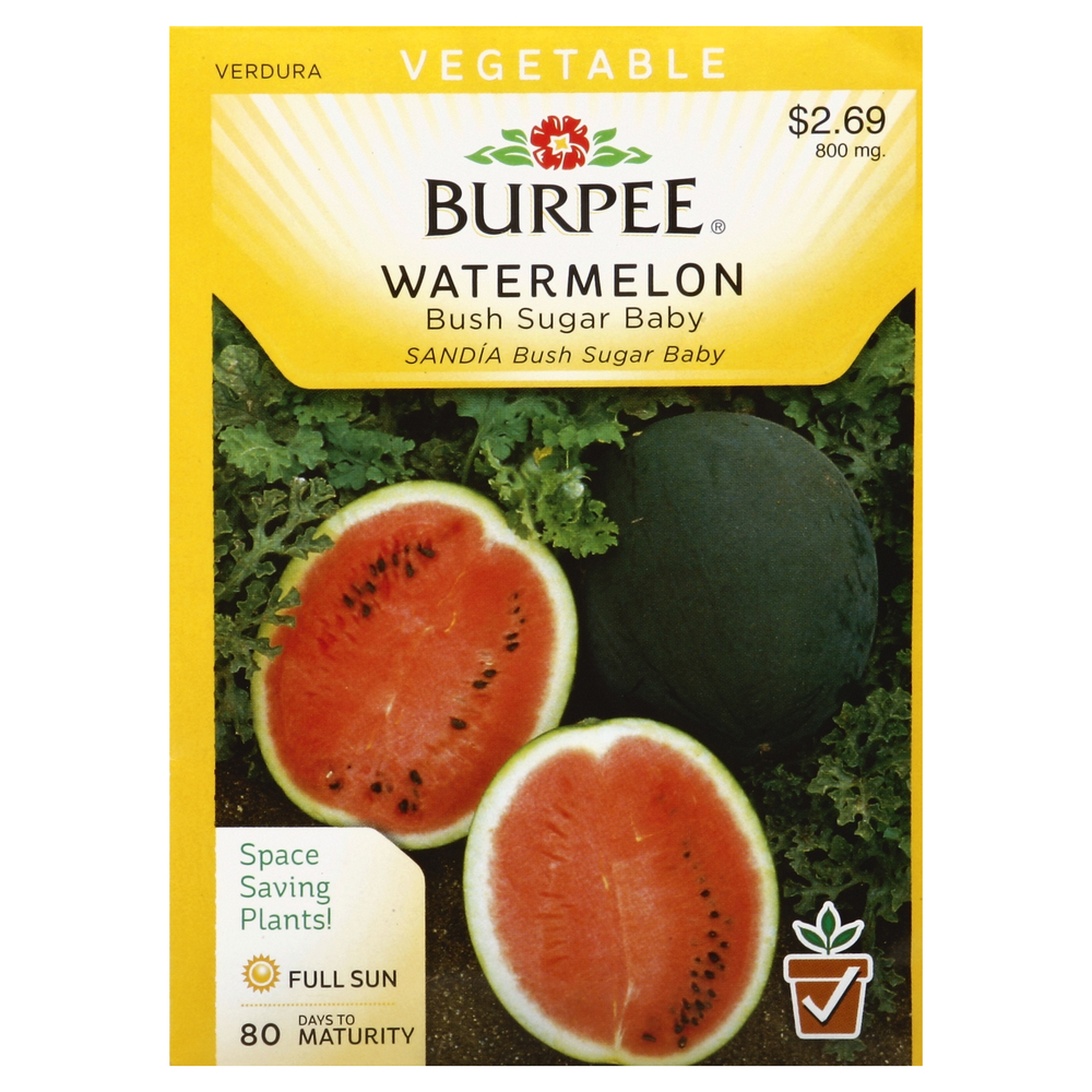 Rare Seeds Watermelon Bush Sugar Baby Sugar Baby Watermelon | John