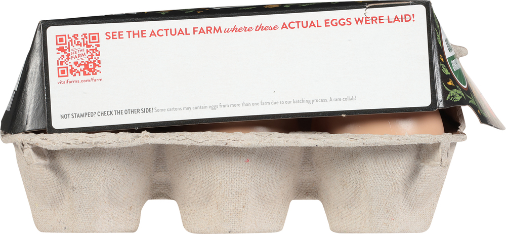Vital Farms Eggs, Organic, Pasture-Raised, Large-Planogram-Left