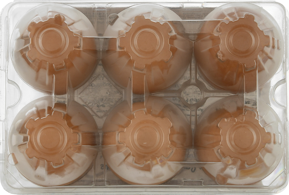 The Country Hen Eggs, Organic, Free Range, Omega, Large-Planogram-Back