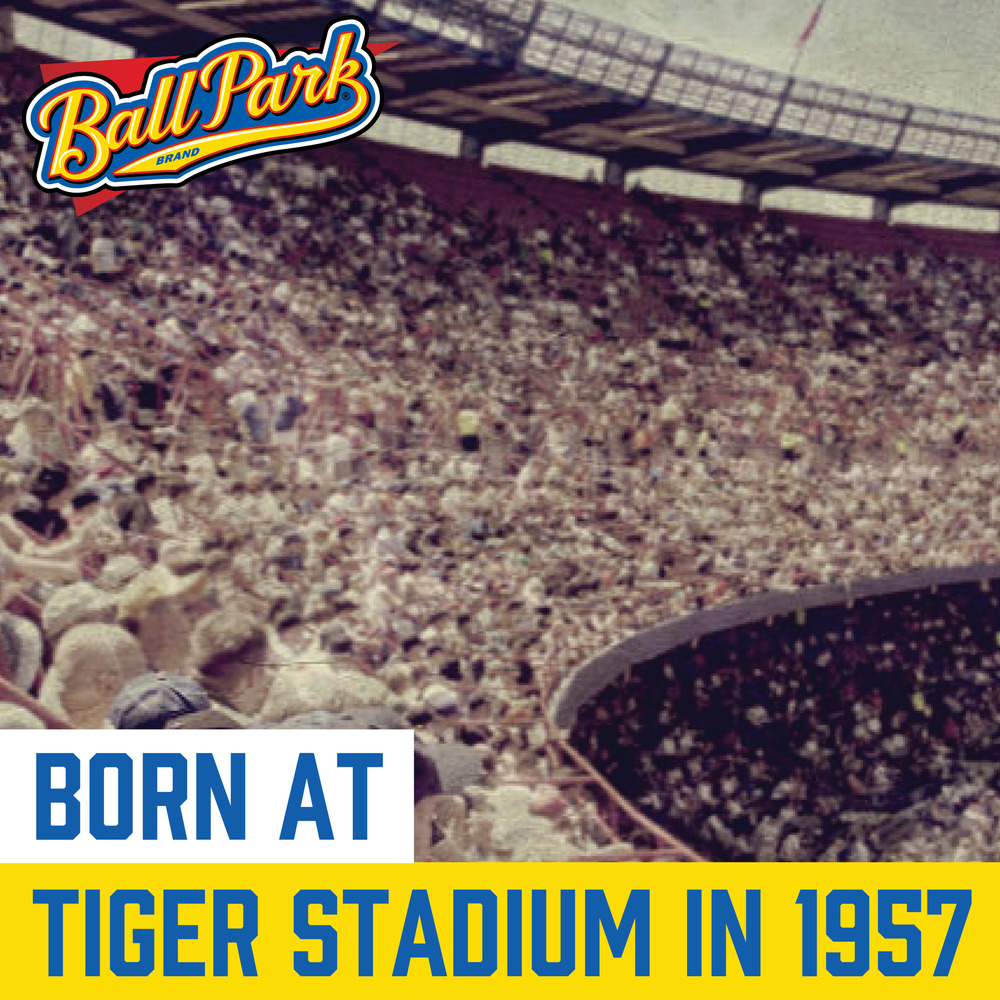 Ball Park Ball Park Beef Hot Dogs, 8 Count-Nutrition-Facts